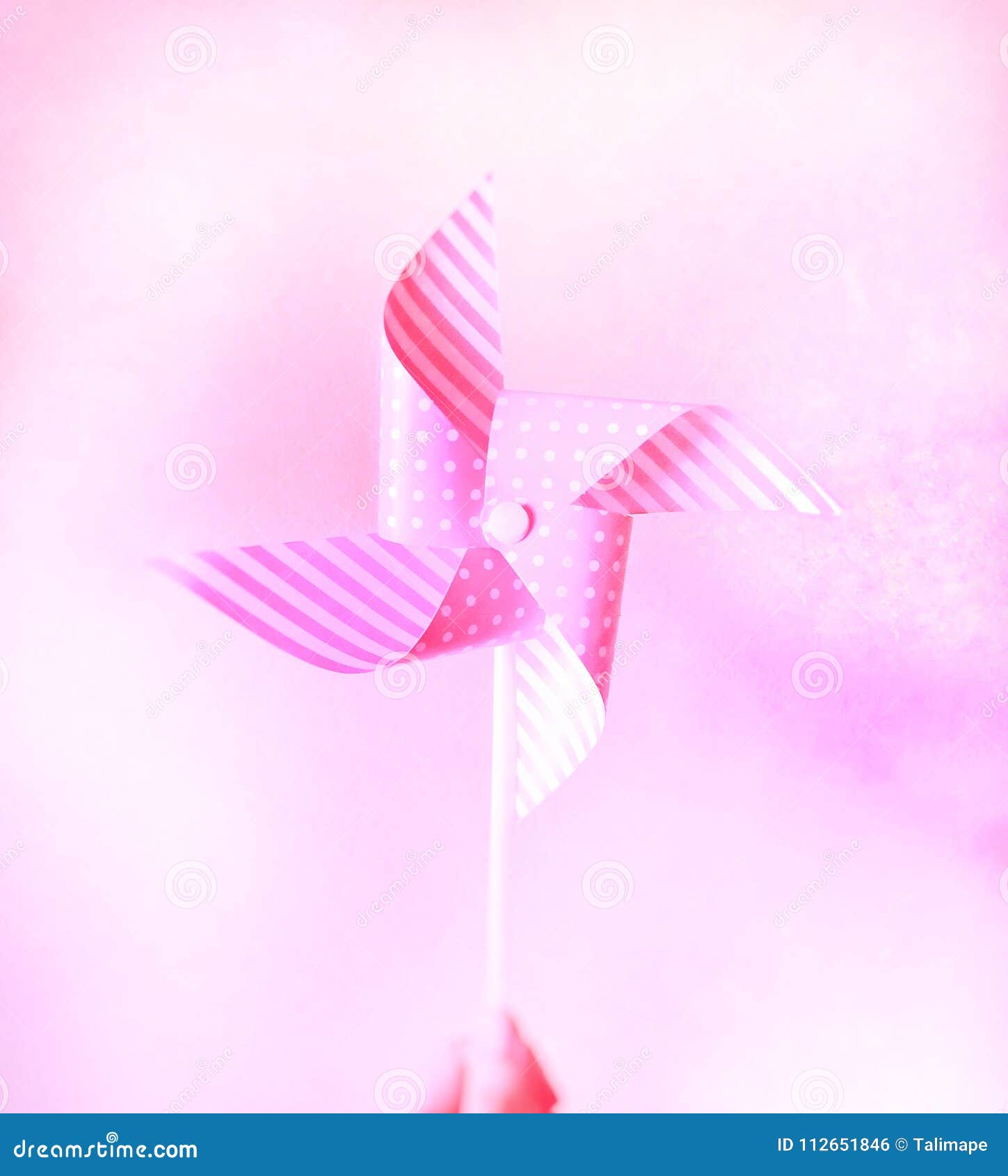 Pink windmill stock photo. Image of windmill, rose, hand - 112651846