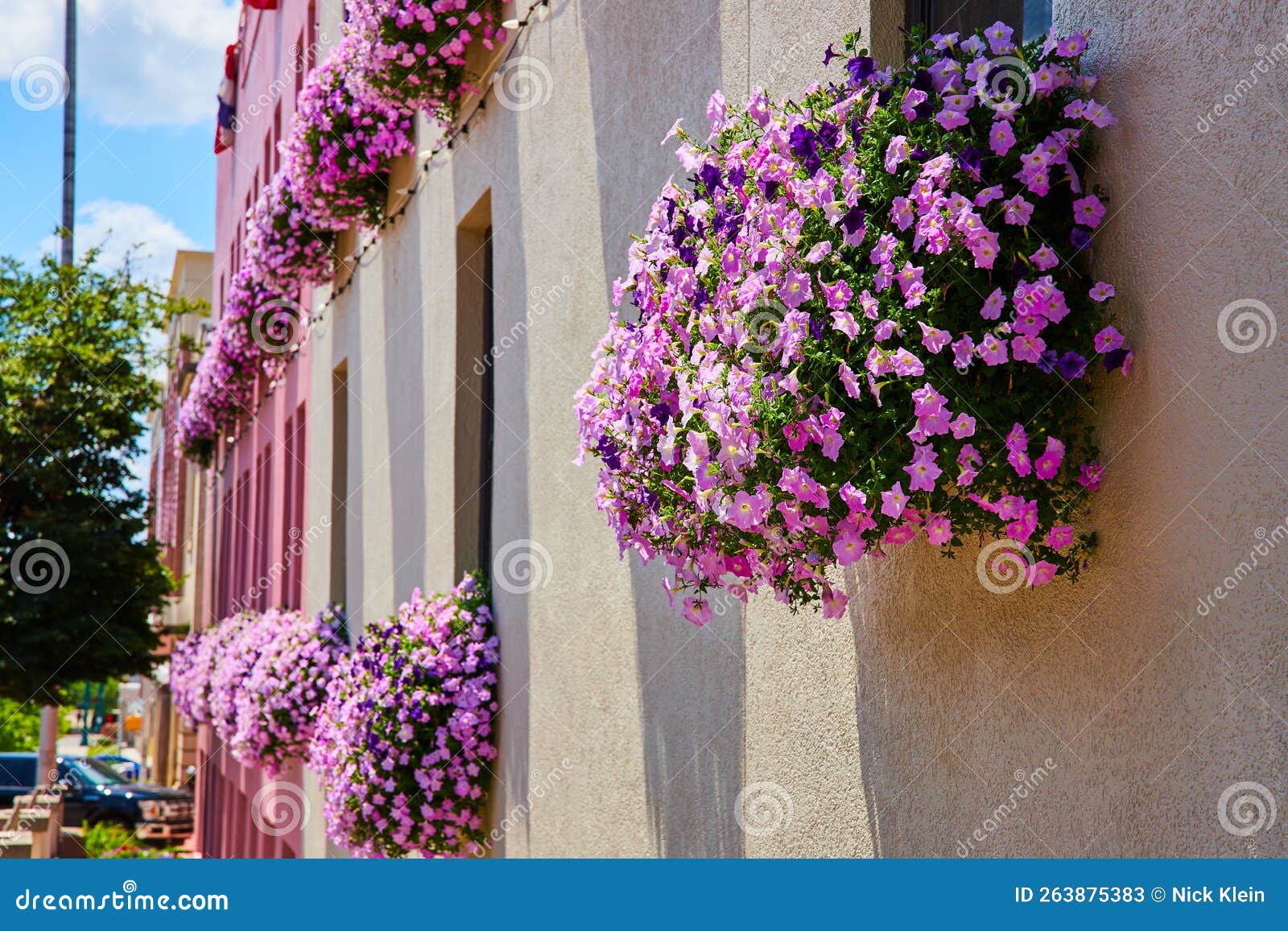 Pink Window Box Flowers on Exterior of Pink and Beige Wall Stock Image ...