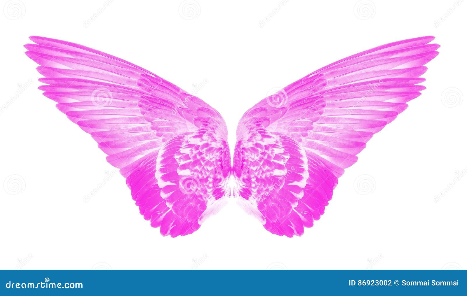Pink Wings For Background Stock Image | CartoonDealer.com #131880949