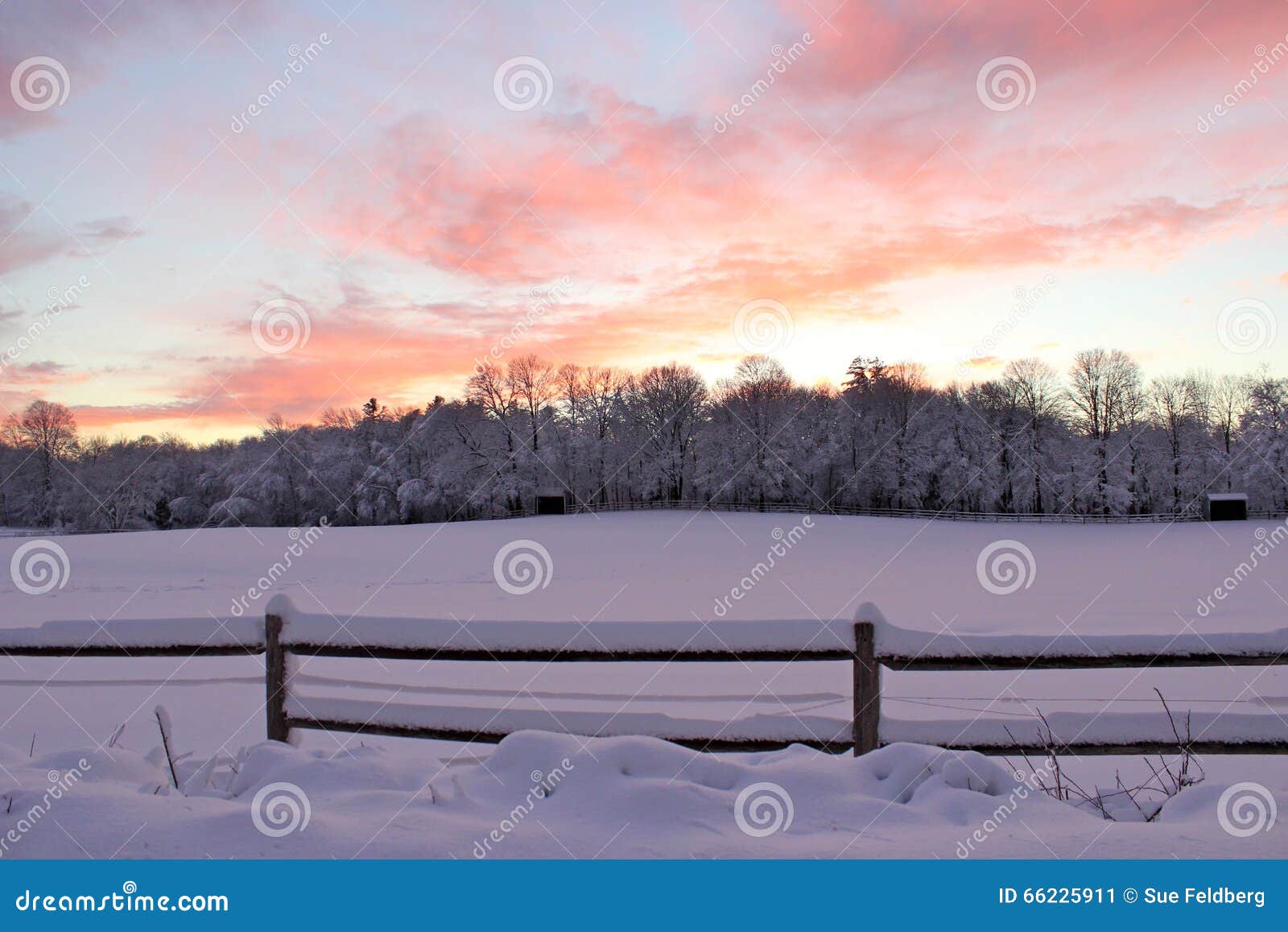 Pink Winter Sky stock image. Image of clouds, blue, dusk - 66225911