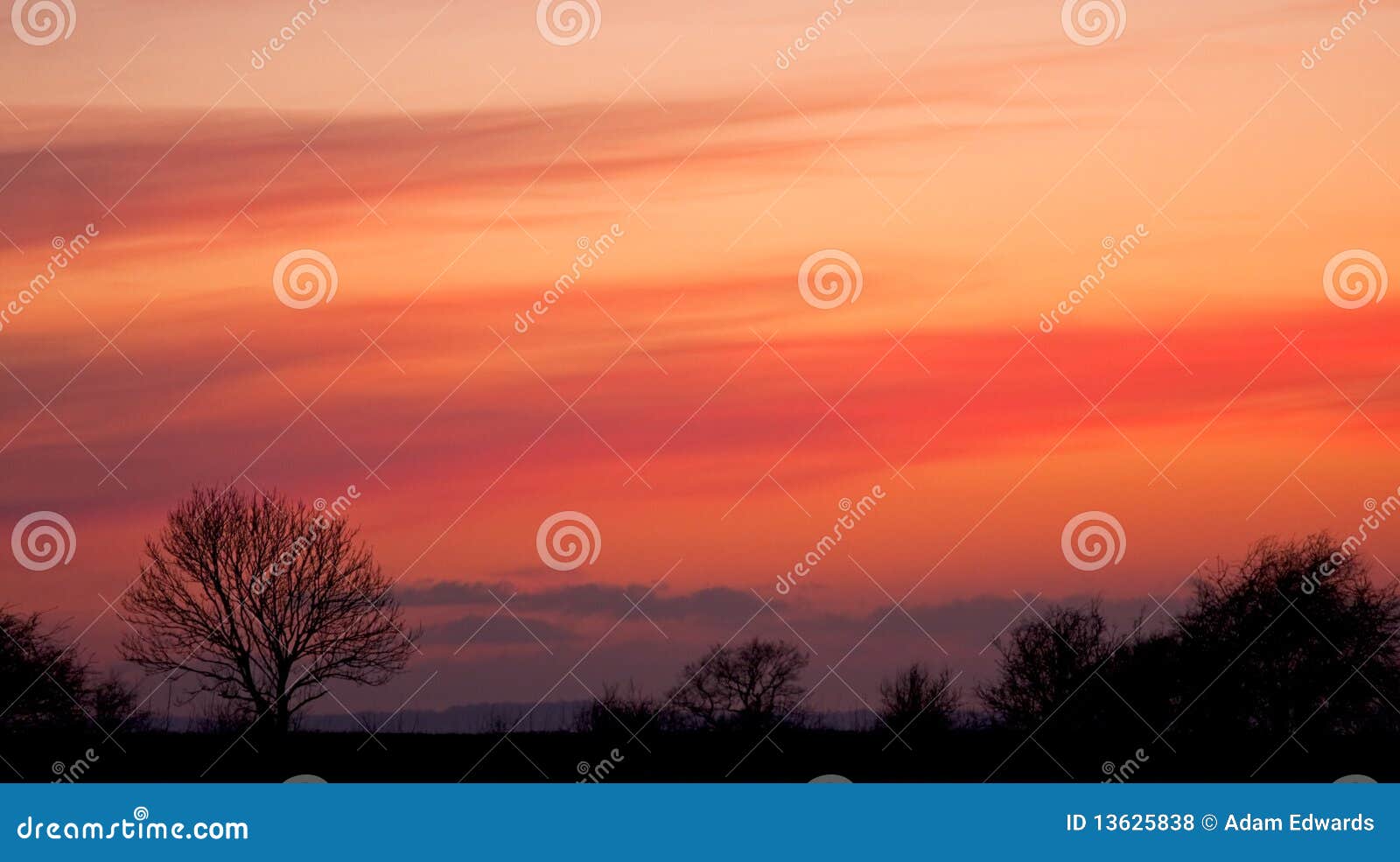 Backlit Treeline Stock Photos - Free & Royalty-Free Stock Photos from ...