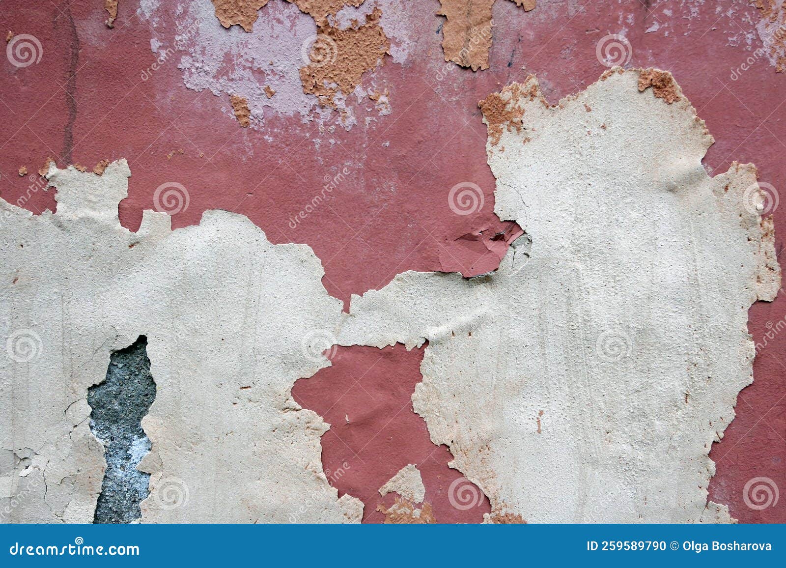 Pink wiped wall stock photo. Image of plaster, material - 259589790