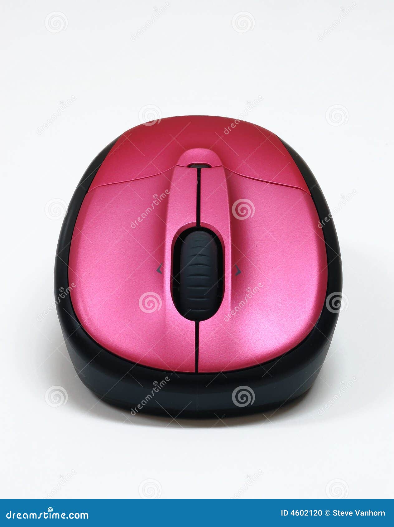 Pink wireless mouse stock photo. Image of clicking, cool - 4602120