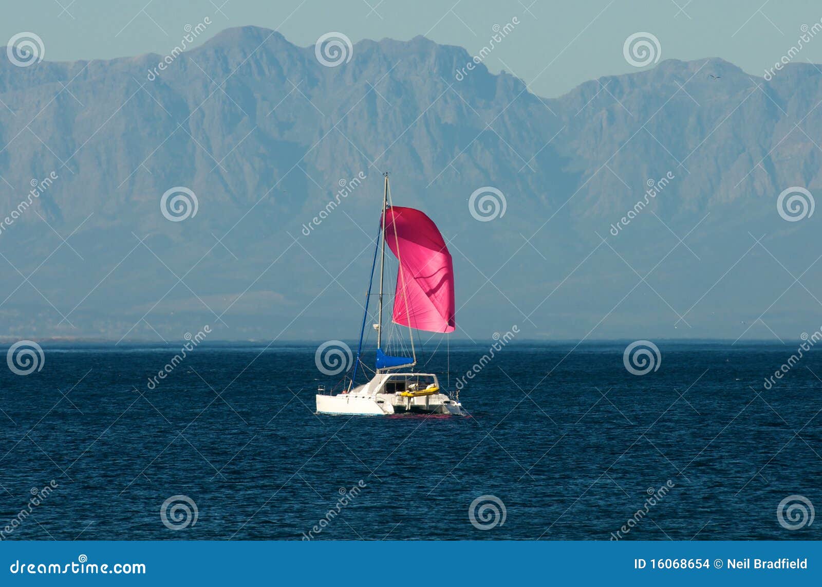 Pink Yacht stock photo. Image of catamaran, mast, pink - 16068654