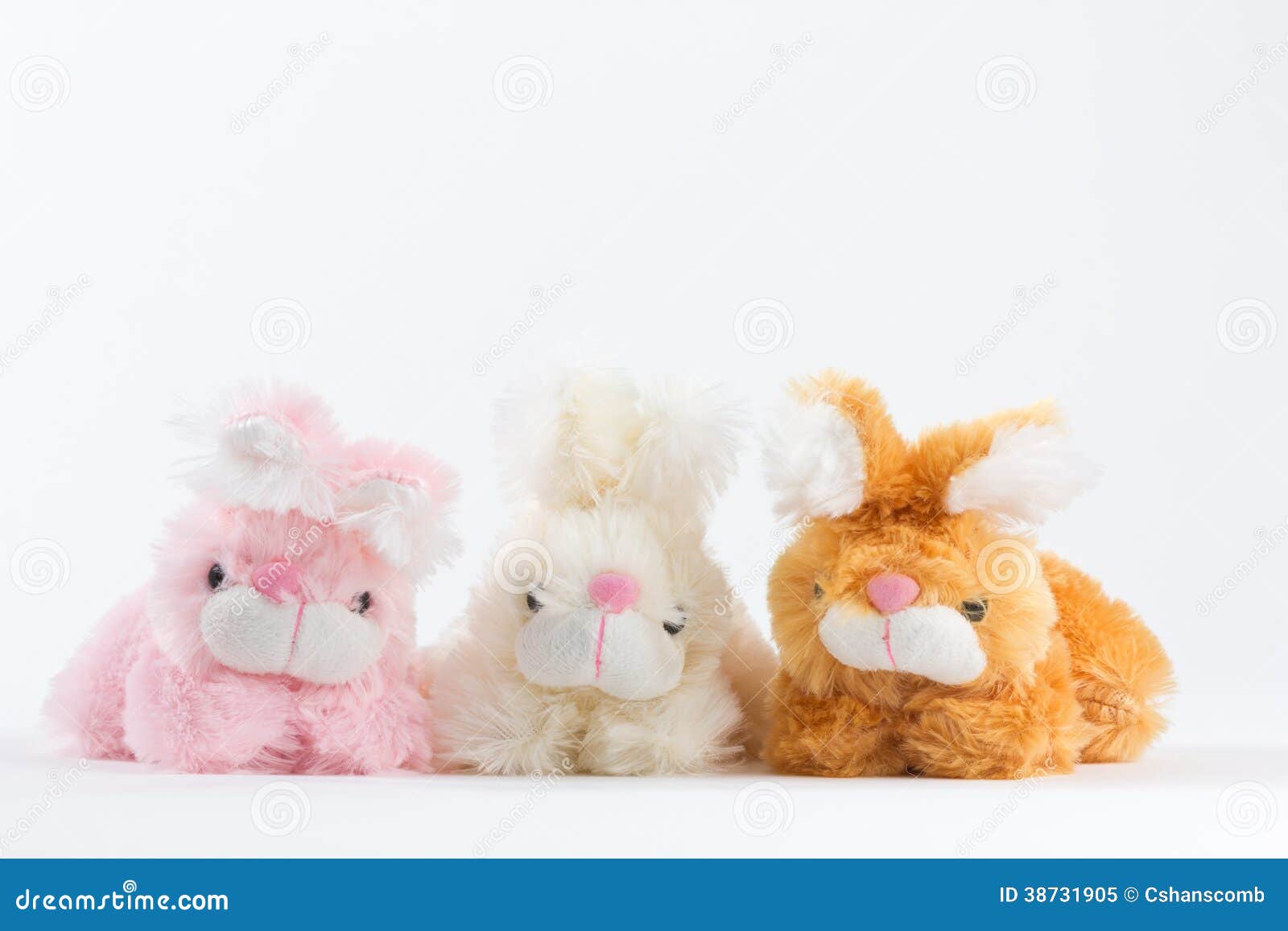 Pink Yellow Brown Bunny White Background Stock Image - Image of cute ...