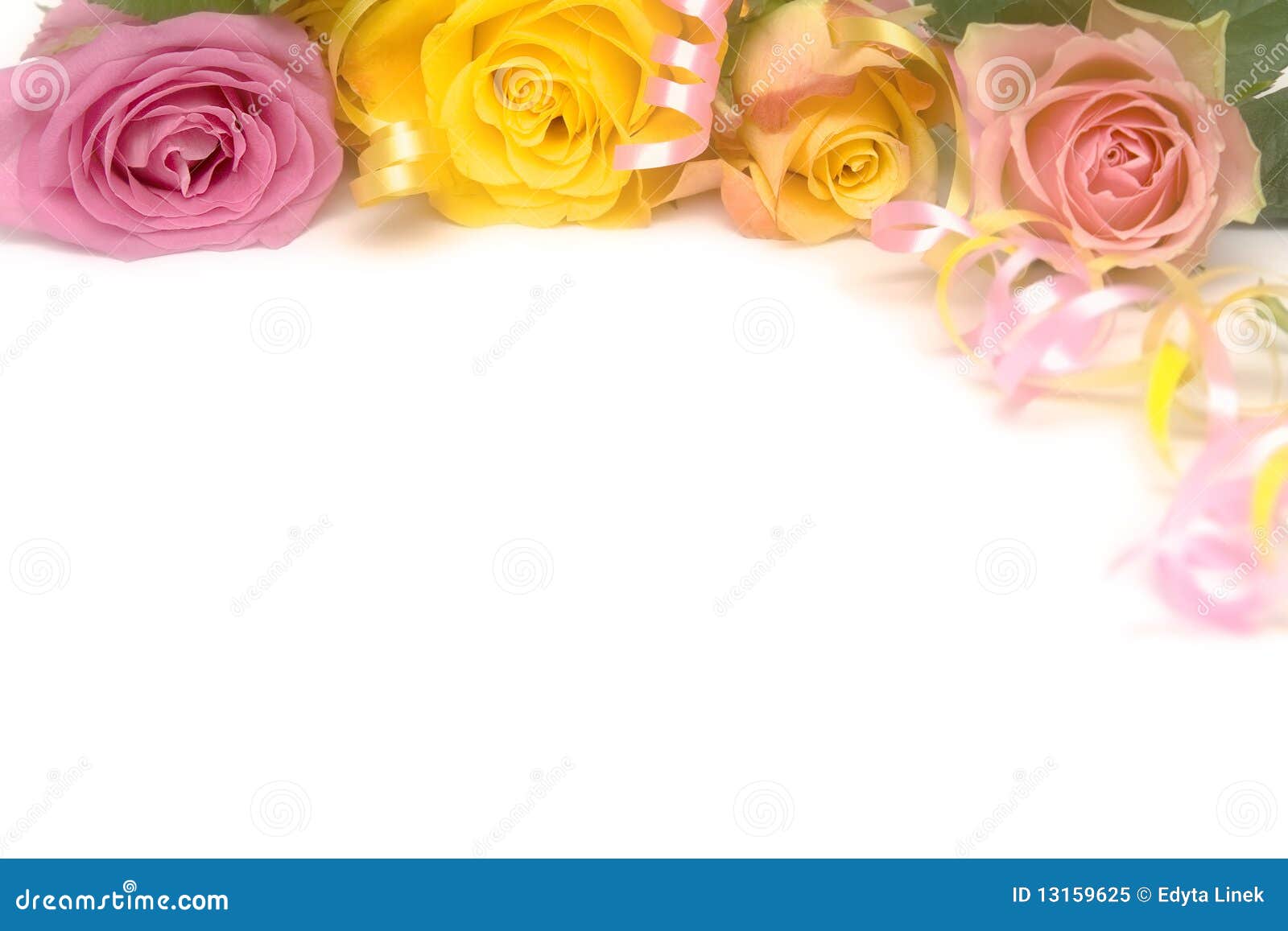 Pink and yellow roses stock image. Image of white, orange - 13159625