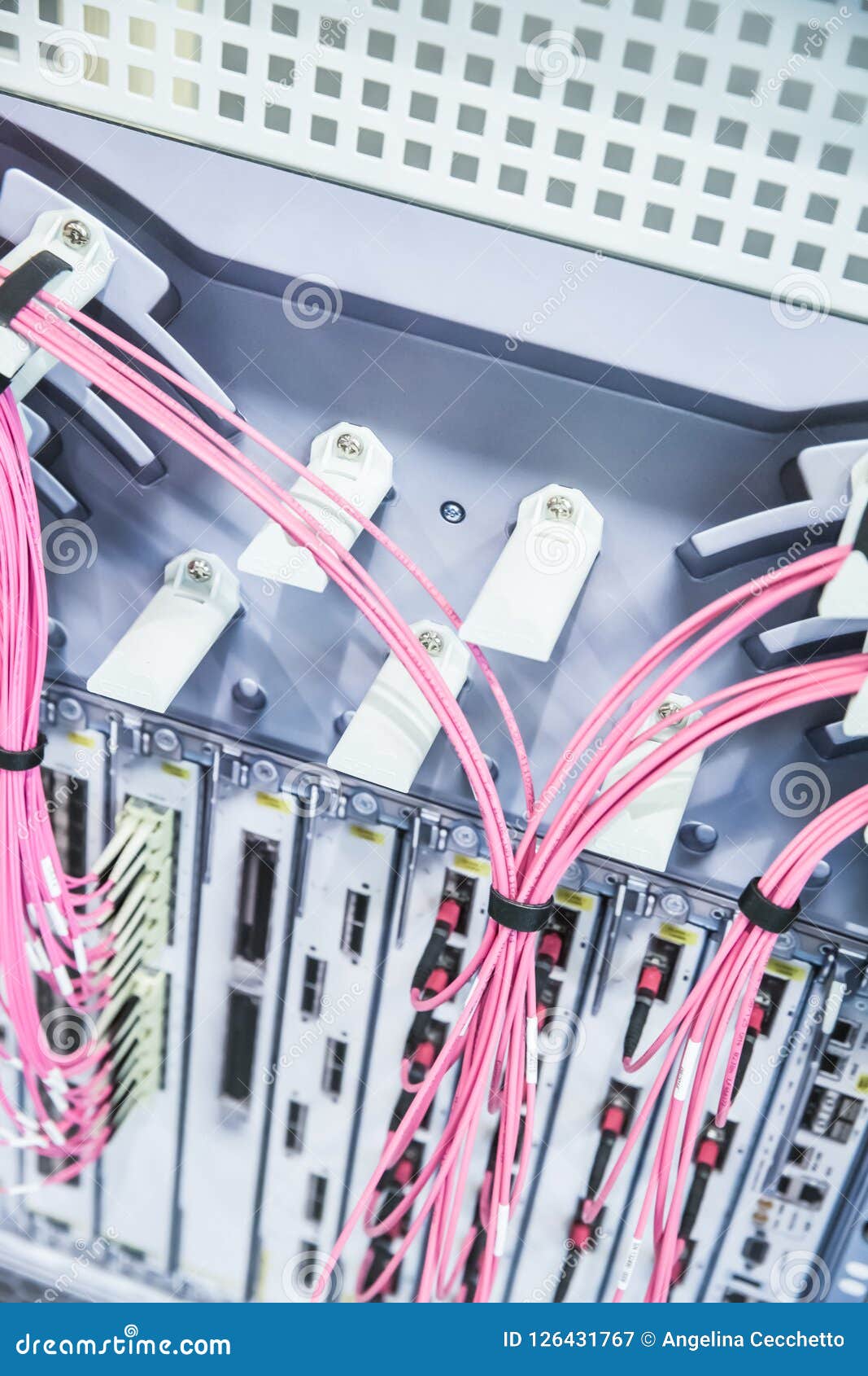 Pink Telecommunication Computer Wires and Cables for Data Transfer ...