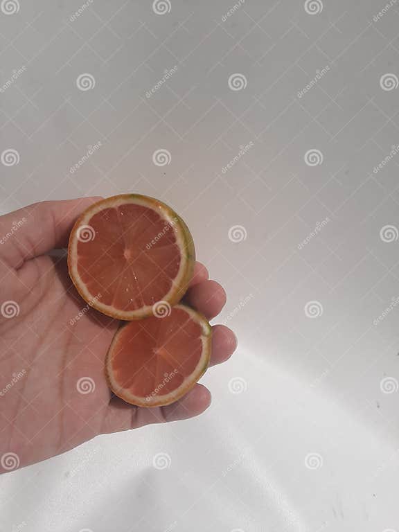 Pink Zebra Striped Lemon Unique Stock Photo - Image of produce, lemon ...