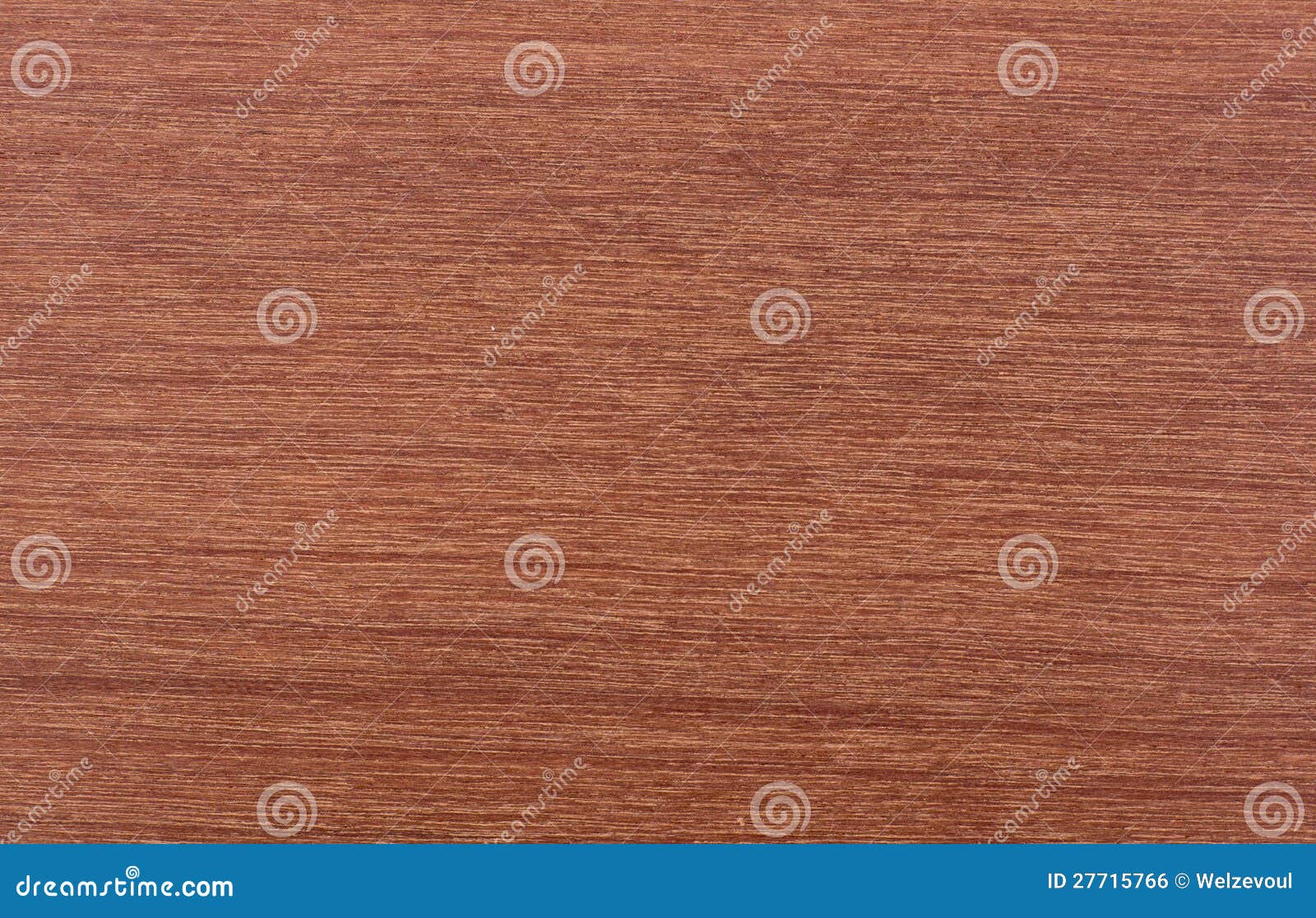 Pinkado Stock Photos - Free & Royalty-Free Stock Photos from Dreamstime