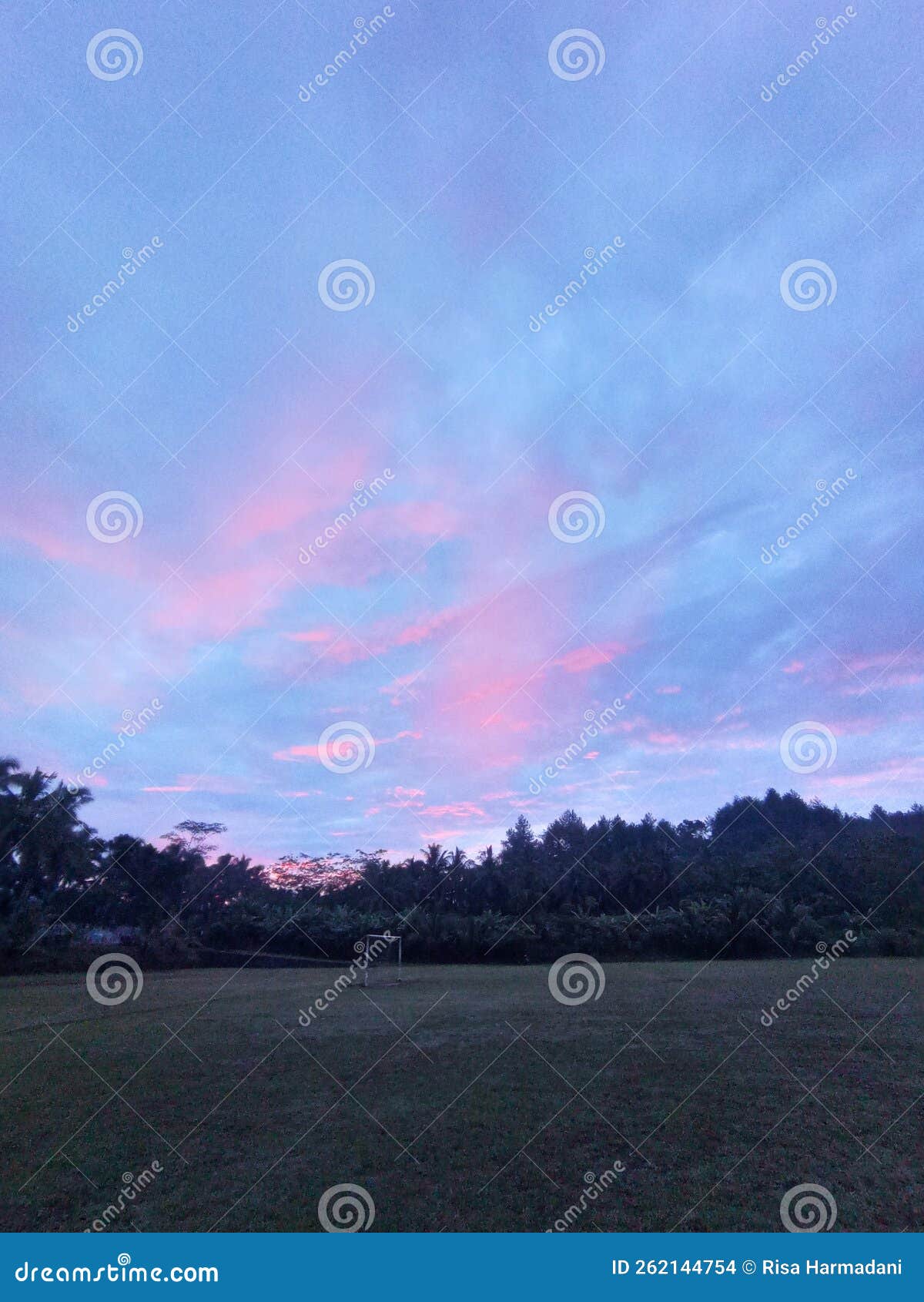 Pinkish Blue Above the Wood Stock Photo - Image of painting, sunlight ...