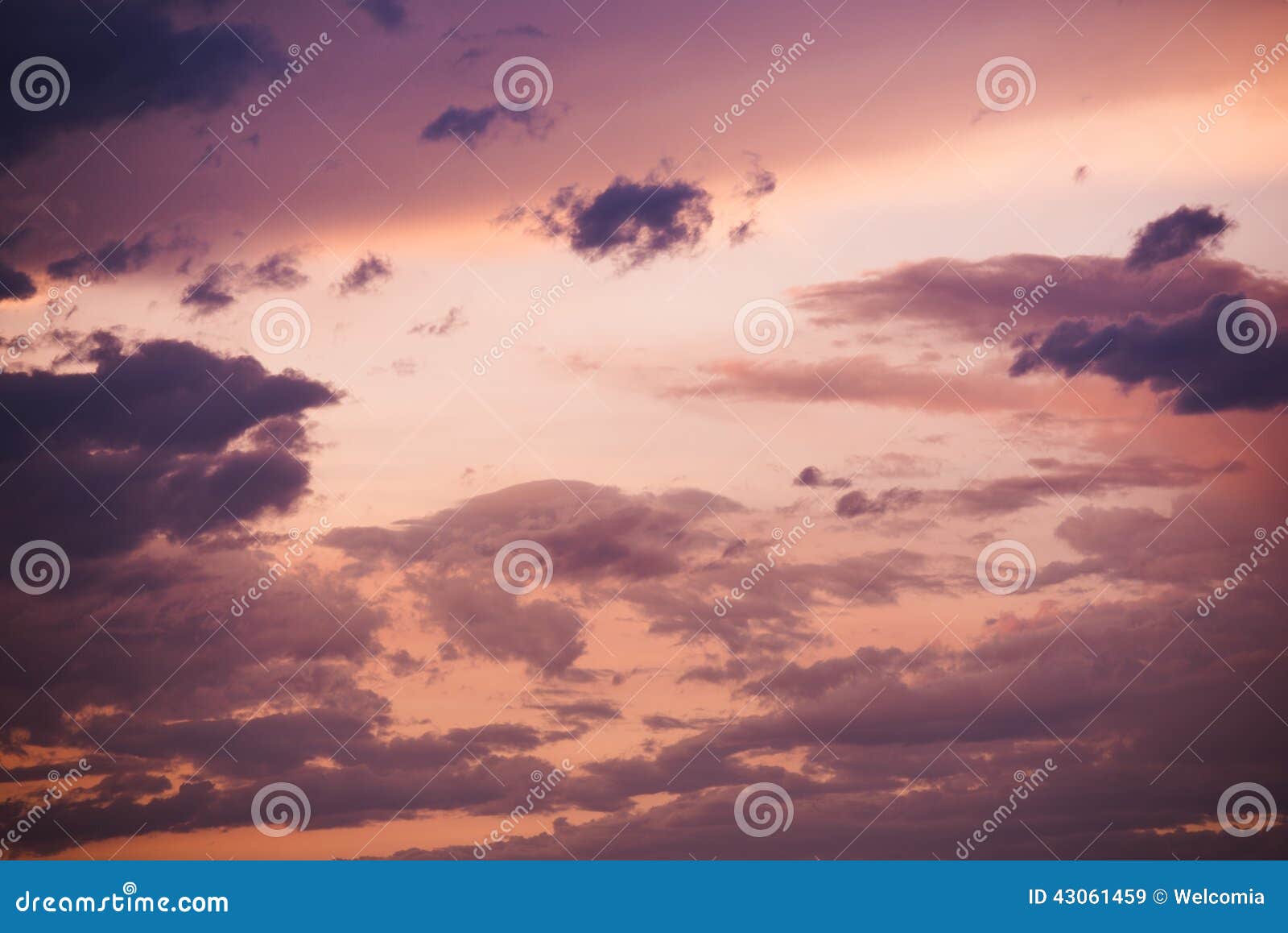 Pinky Sunset Sky Background Stock Image - Image of pink, horizontal ...