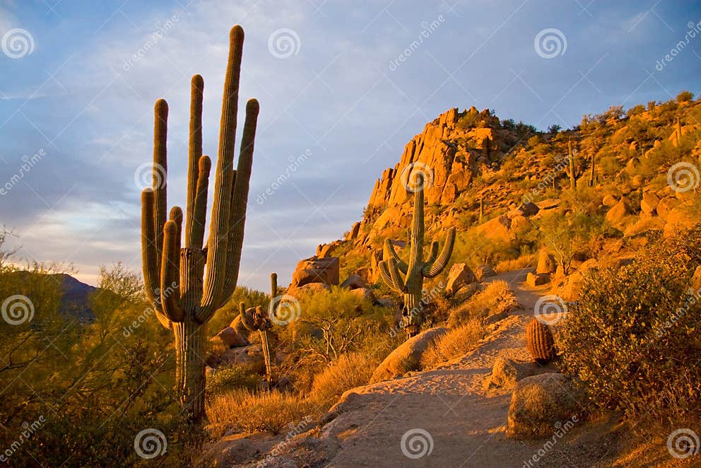 Pinnacle 1 stock image. Image of mountains, peak, sanoran - 3268229