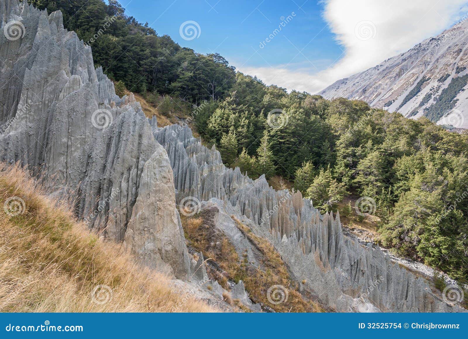 Pinnacle Rock formations stock photo. Image of coleridge - 32525754