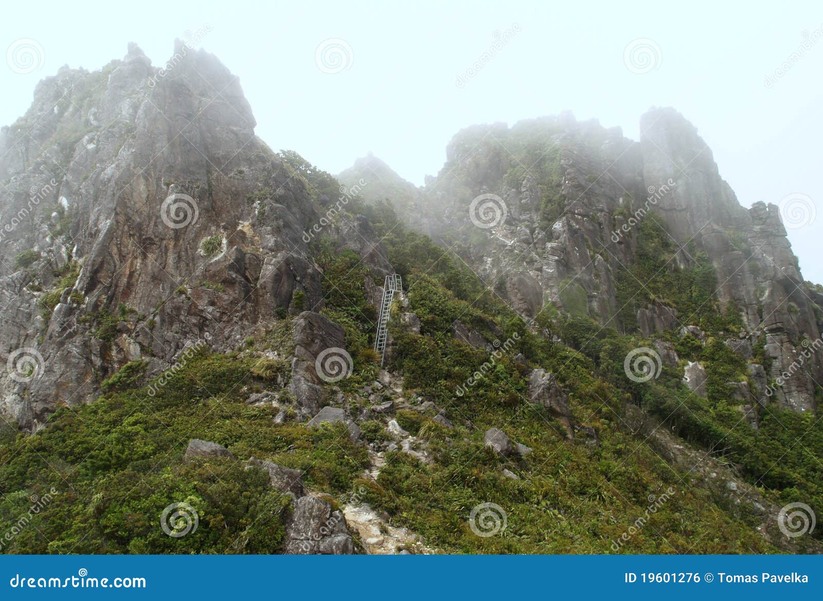 The Pinnacles stock photo. Image of granite, coromandel - 19601276