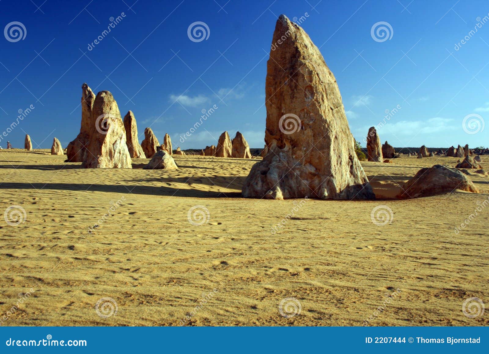 The Pinnacles stock photo. Image of western, limestone - 2207444