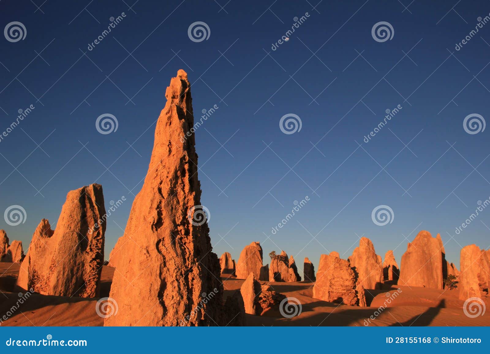 The Pinnacles stock photo. Image of morning, wildflowers - 28155168