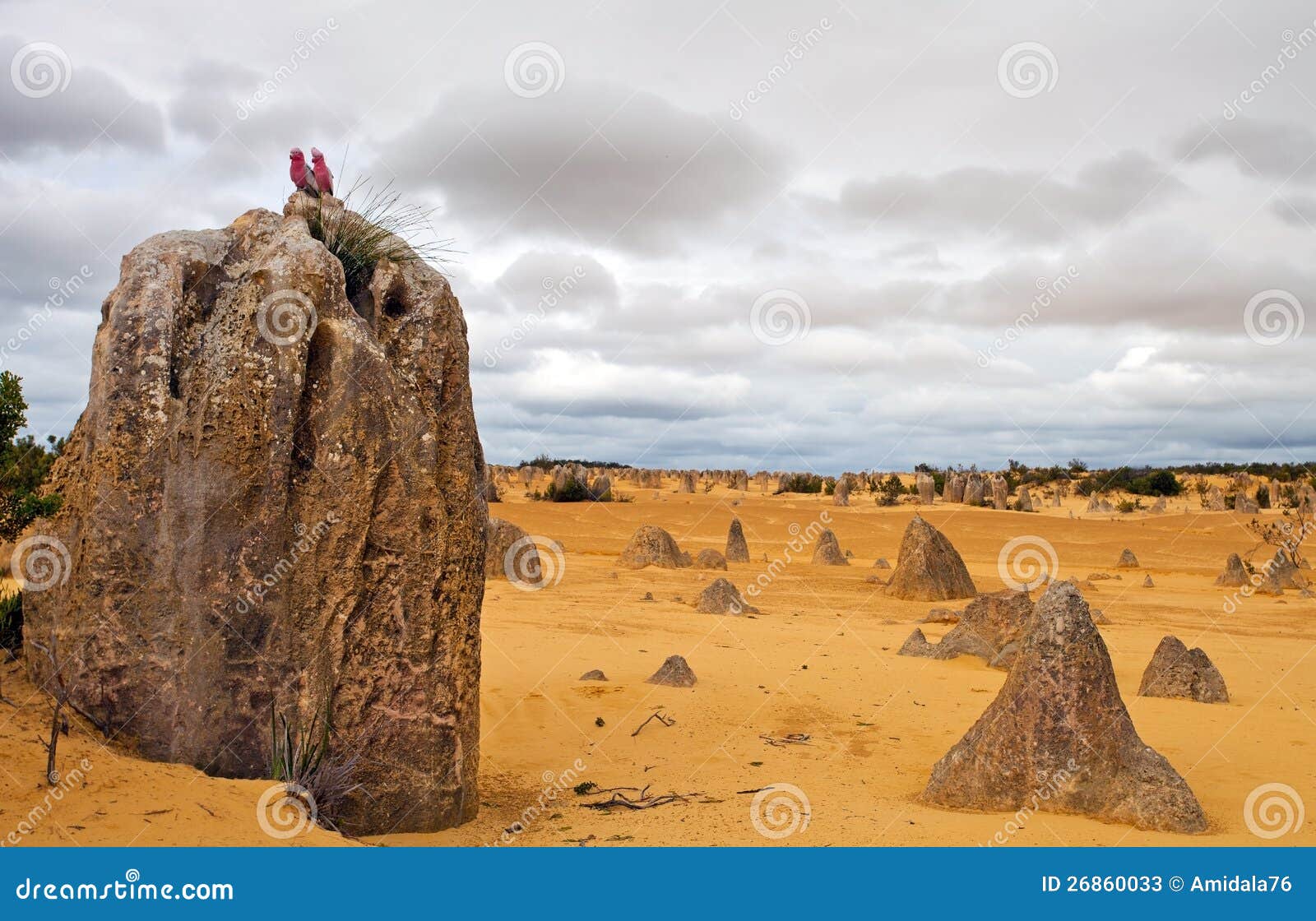 Pinnacles desert stock image. Image of land, pinnacles - 26860033