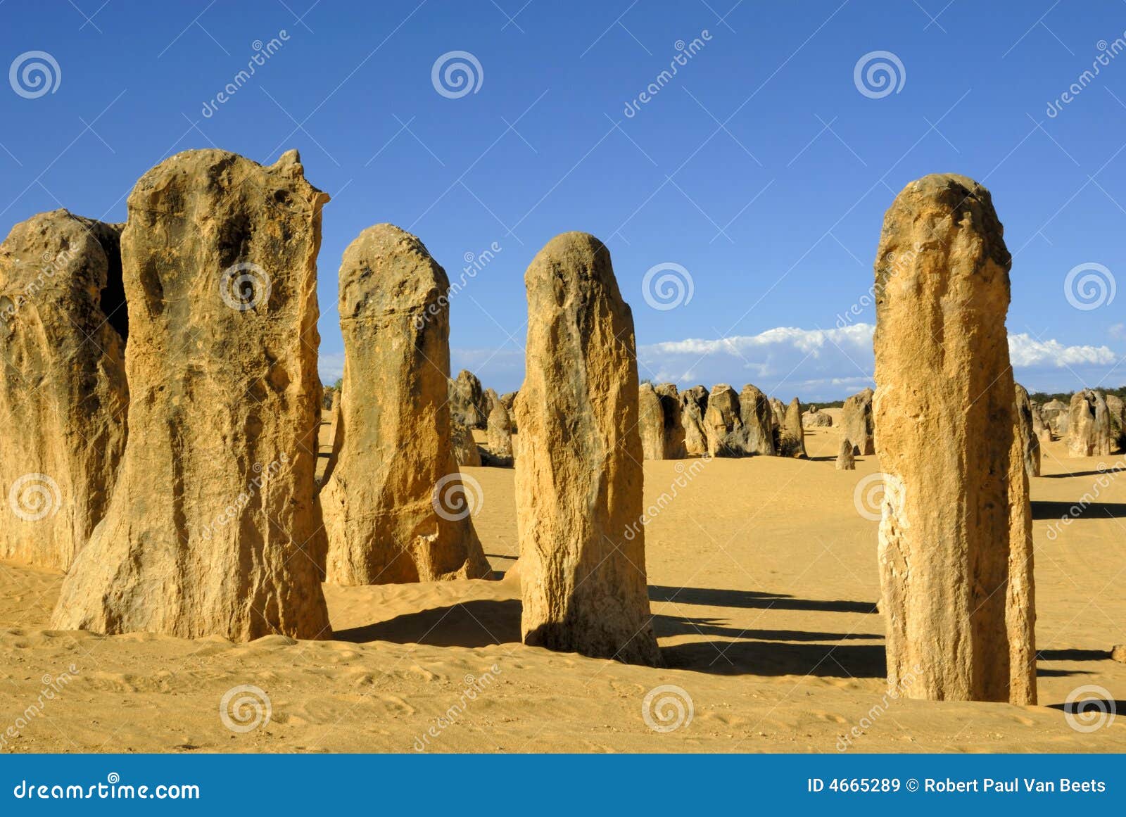 Pinnacles Desert Stock Image | CartoonDealer.com #8939401