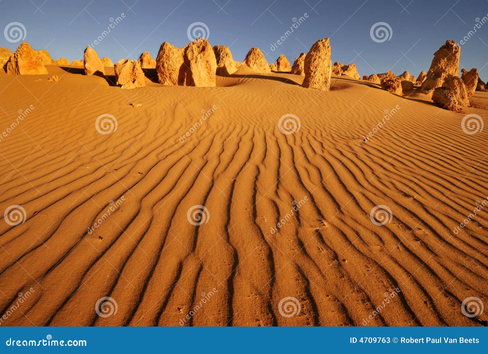 Pinnacles desert stock image. Image of clear, west, travel - 4709763