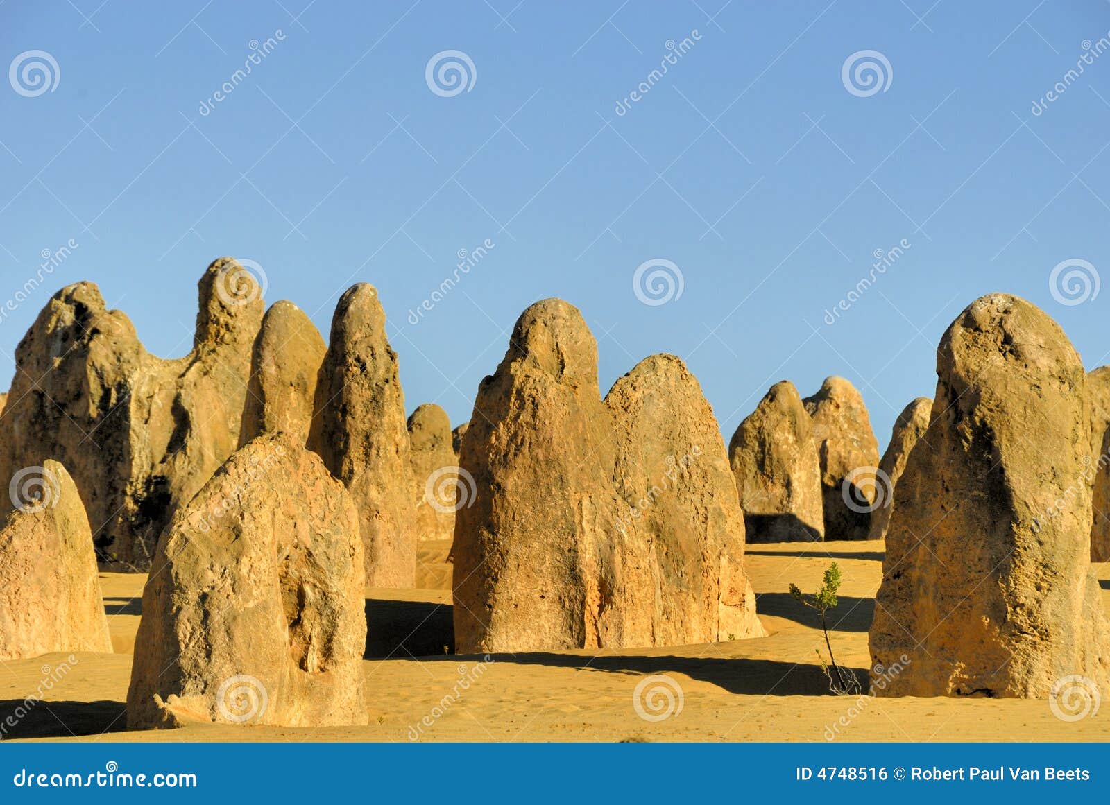 Pinnacles desert stock photo. Image of land, ground, south - 4748516