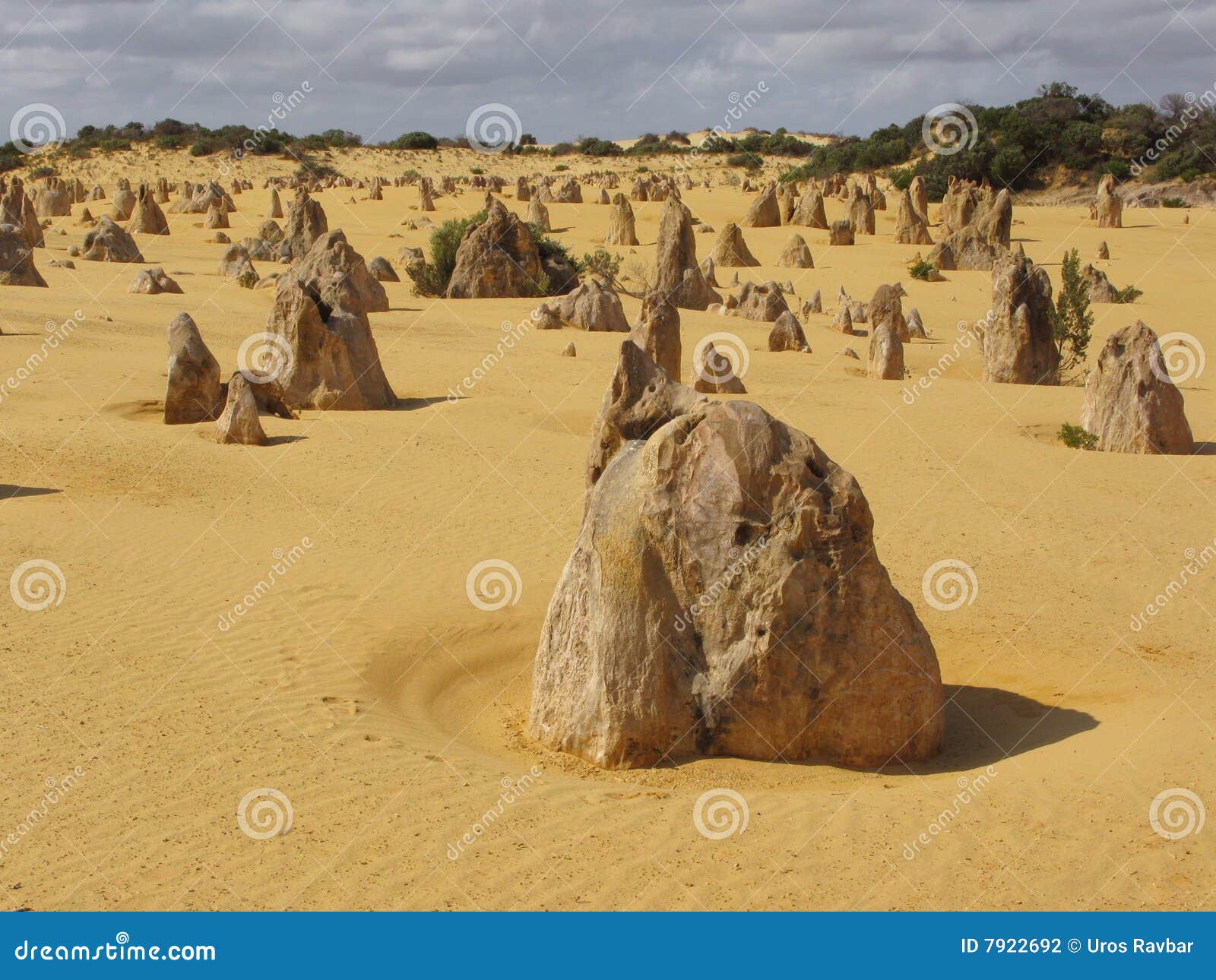 Pinnacles desert stock photo. Image of hemisphere, famous - 7922692