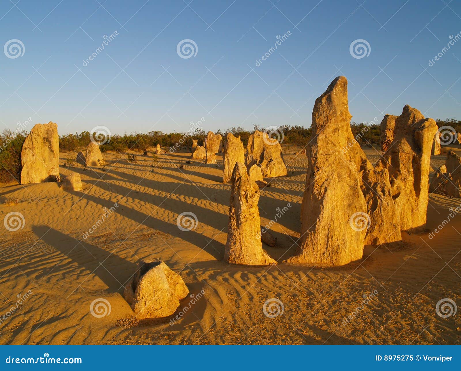 Pinnacles Desert Stock Image | CartoonDealer.com #8939401