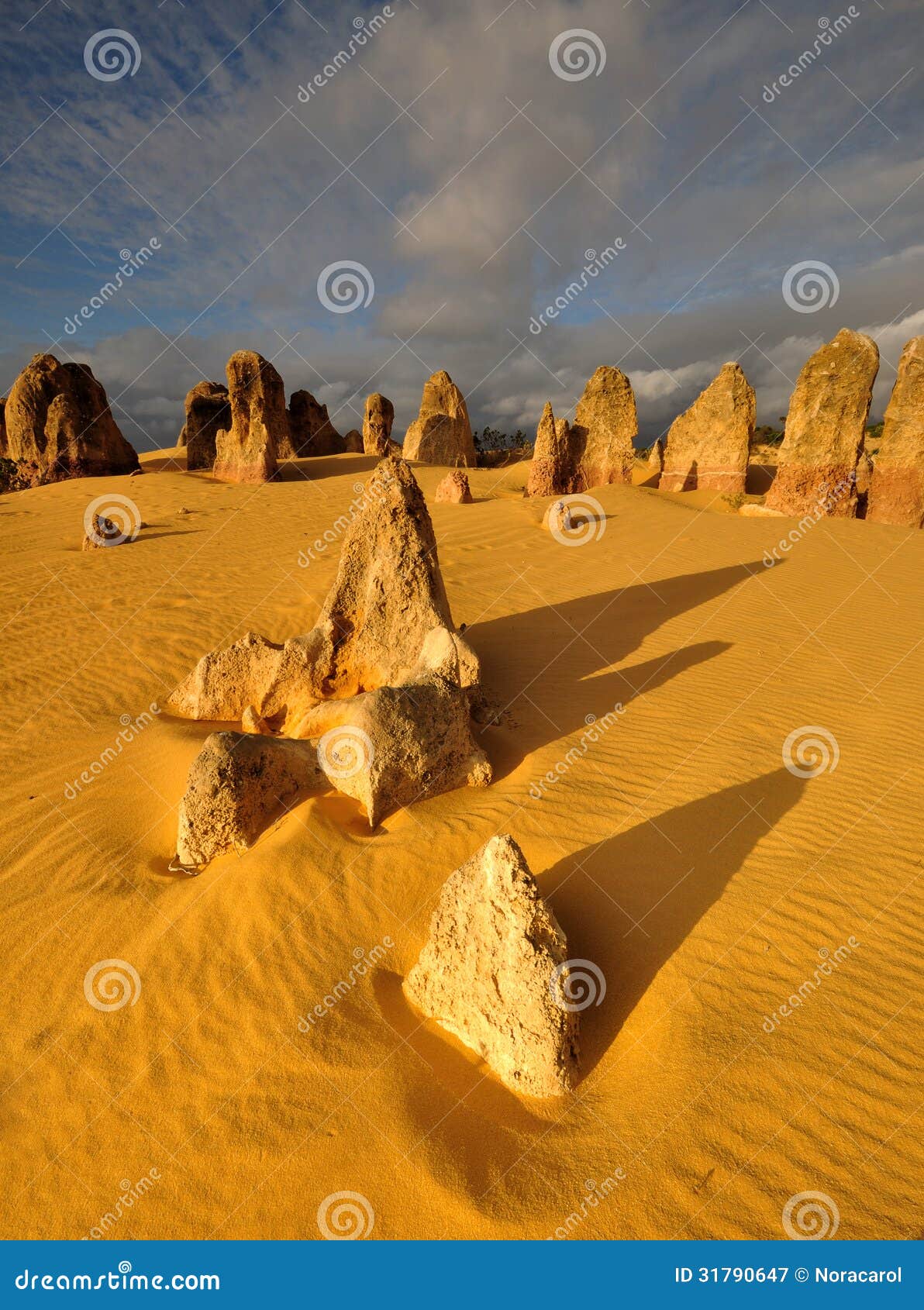 The Pinnacles Desert Under Sunset Light Stock Image - Image of scenic ...