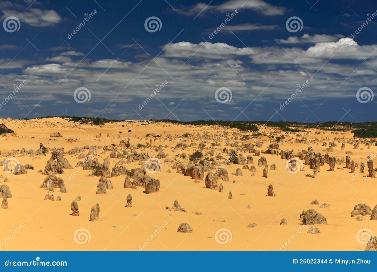 Pinnacles Desert,Western Australia Stock Photo - Image of gold ...