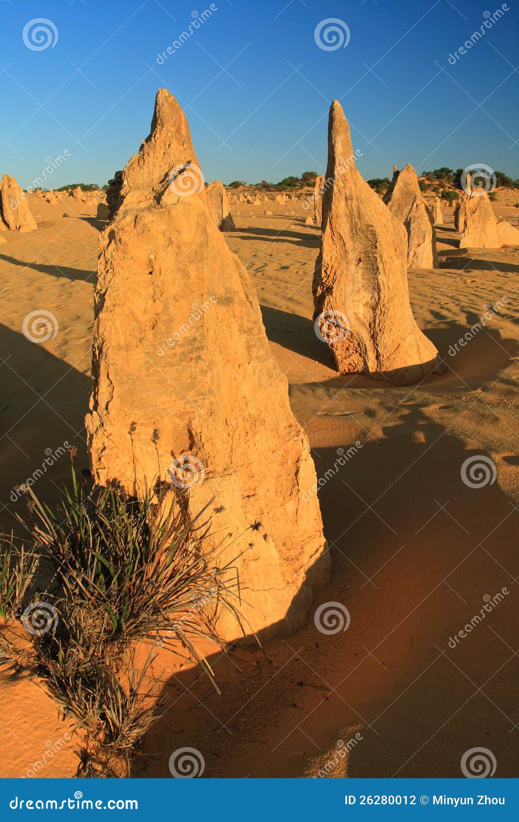 Pinnacles Desert,Western Australia Stock Photo - Image of formation ...