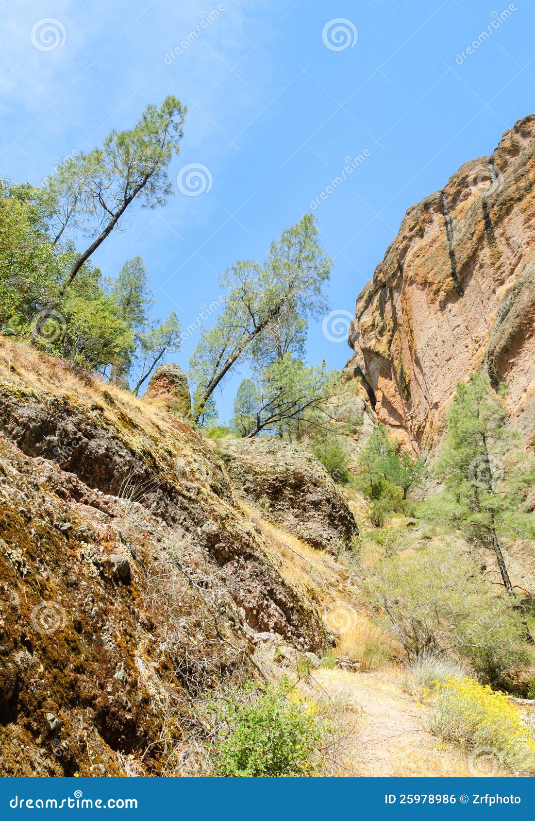 Pinnacles National Monument Stock Photo - Image of california, trail ...
