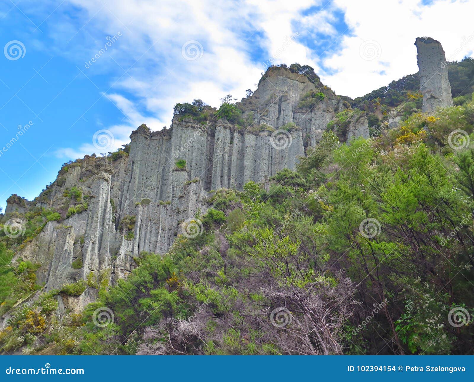 Green Pinnacles Of Worn Cliff At Tasman Sea Shore, Punakaiki, West ...