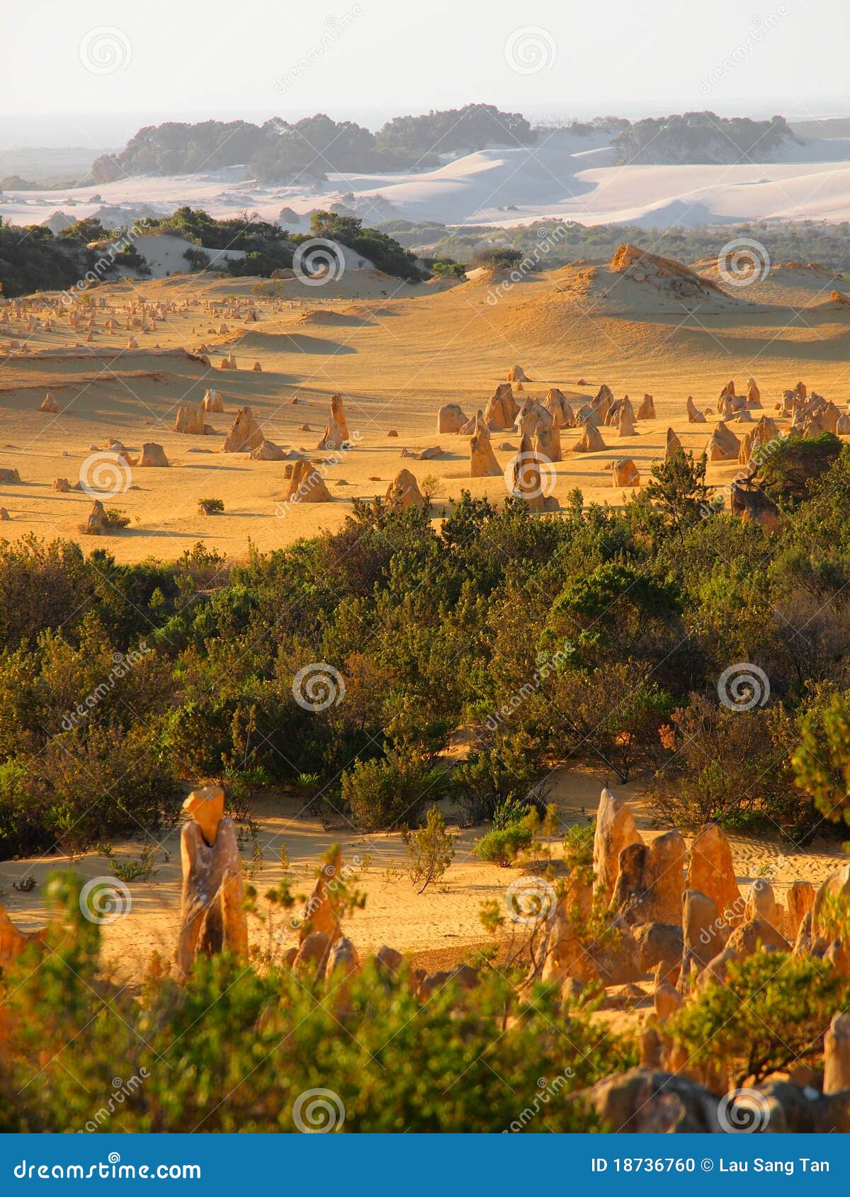 Pinnacles & white sand stock photo. Image of cervantes - 18736760