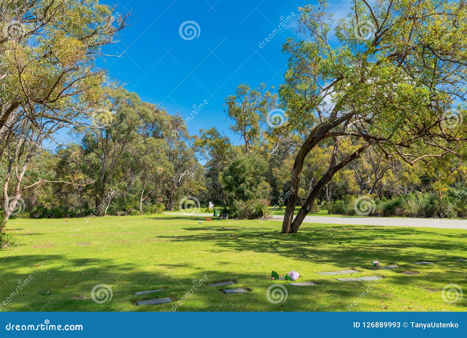 Pinnaroo Valley Memorial Park, Cemetery in Australia Stock Image ...