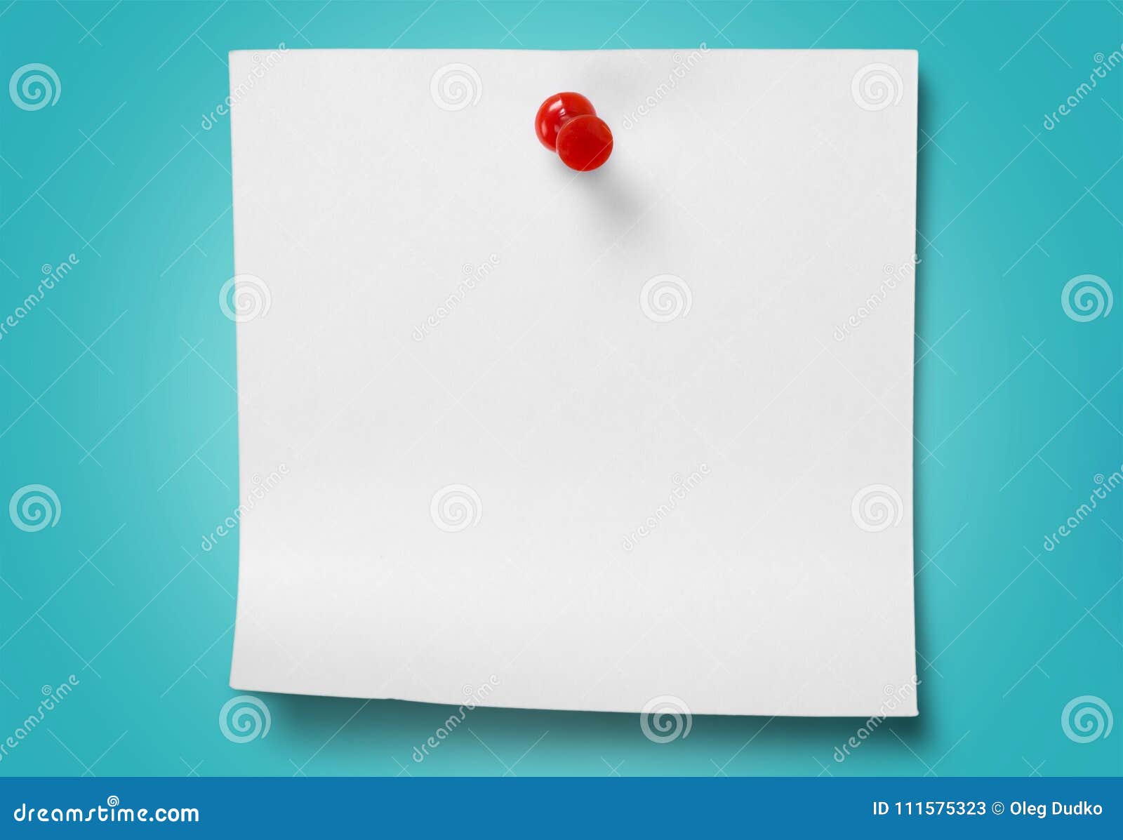 Pinned Blank Paper Note on Gray Background Stock Image - Image of ...