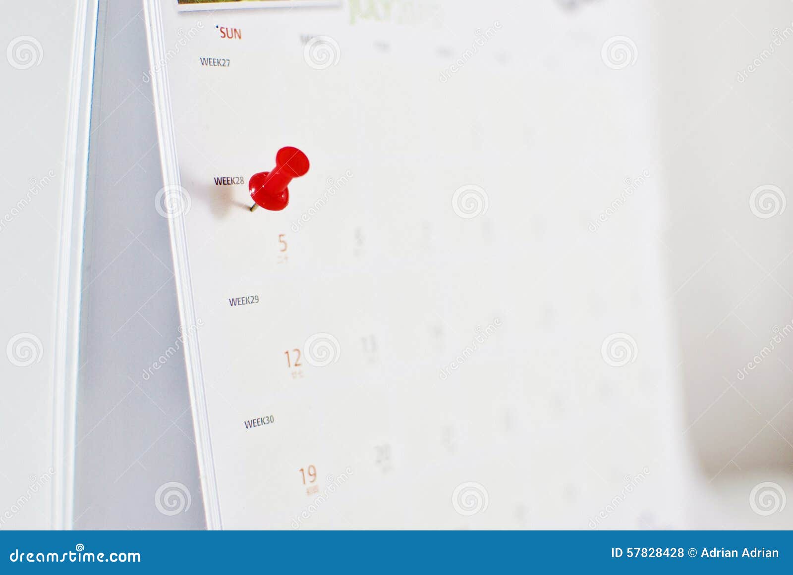 Pinned calendar stock photo. Image of office, appointment - 57828428