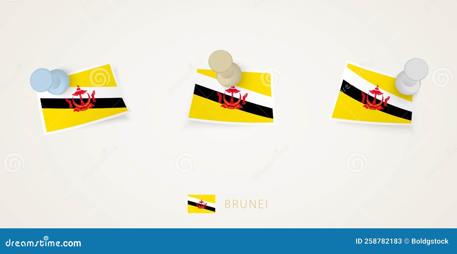 Brunei Map With Shapes Of Regions. Cartoon Vector | CartoonDealer.com ...