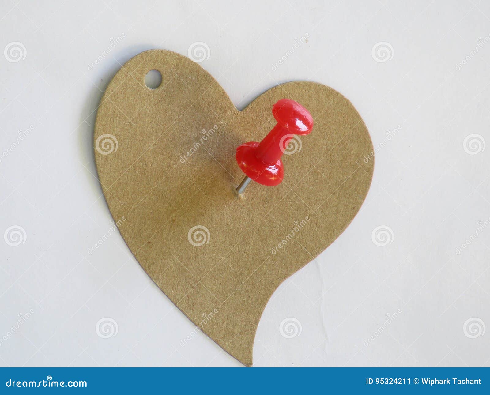 Pinned stock image. Image of document, stick, brown, pinned - 95324211