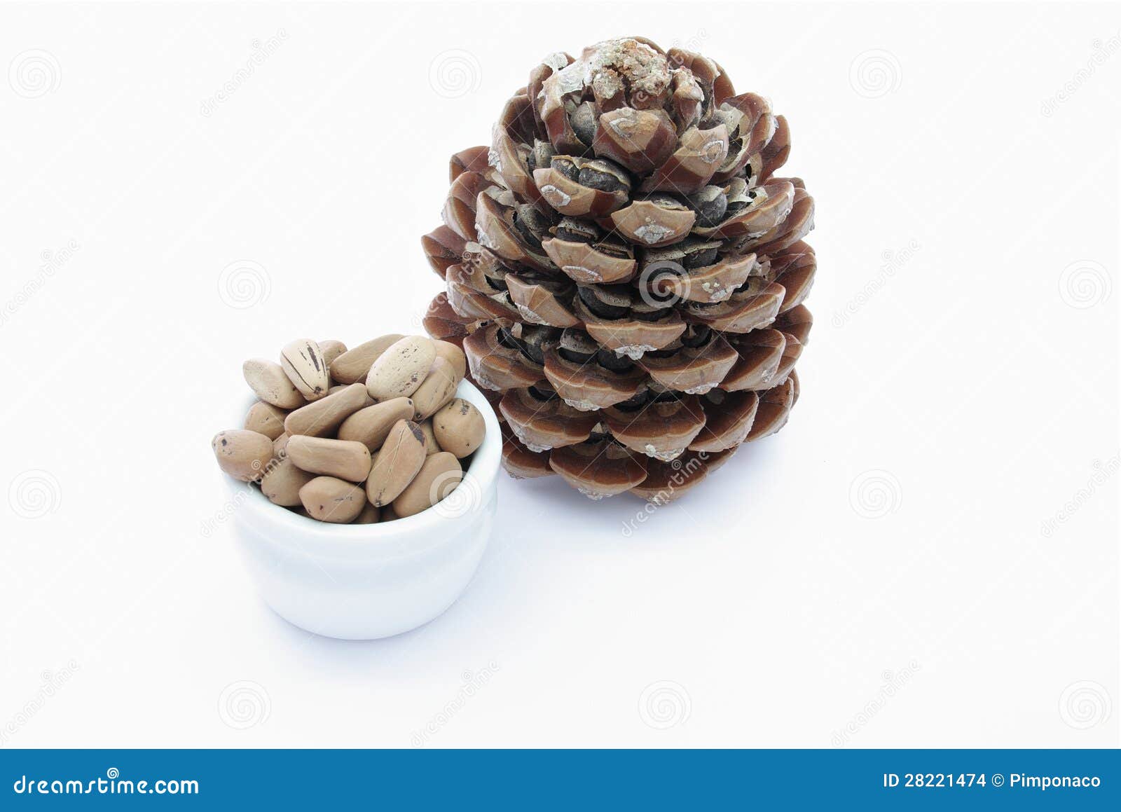 Pinoli fotografia stock. Immagine di seme, salute, vita - 28221474