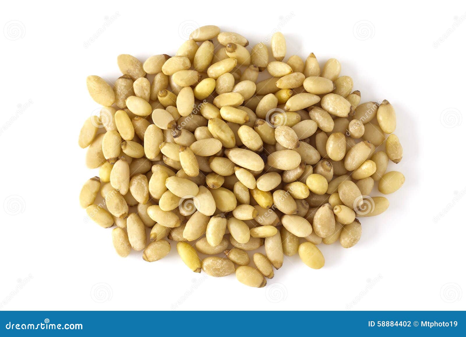 Pinoli fotografia stock. Immagine di secco, cottura, chiusura - 58884402