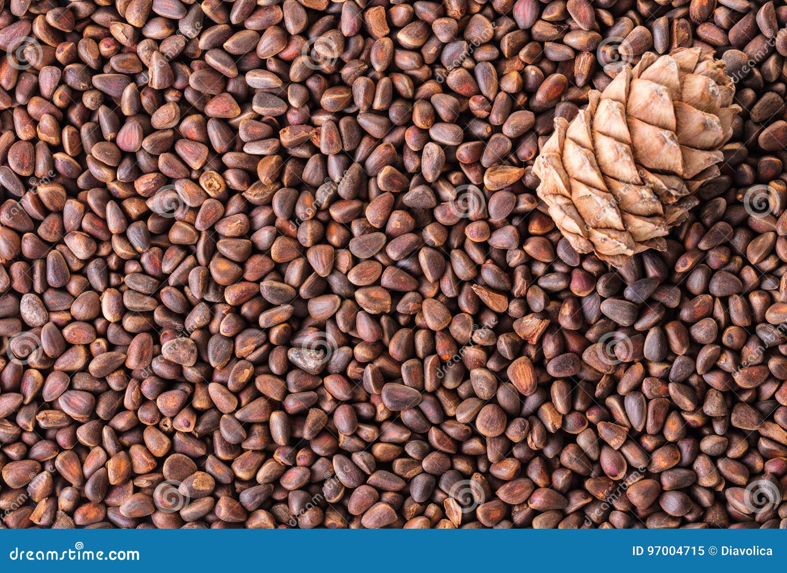 Pinoli E Primo Piano Della Pigna Immagine Stock - Immagine di sfondo ...