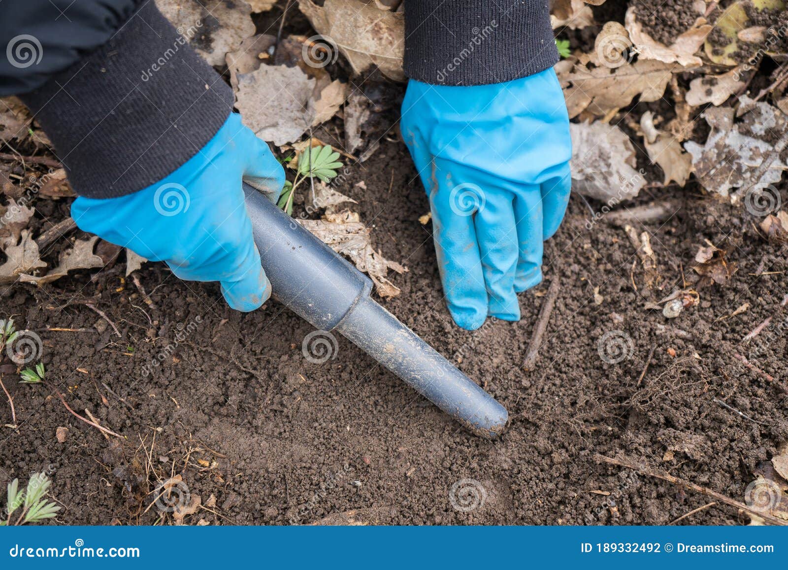 A Man With A Pinpointer In His Hand Is Looking For A Find In The Ground ...