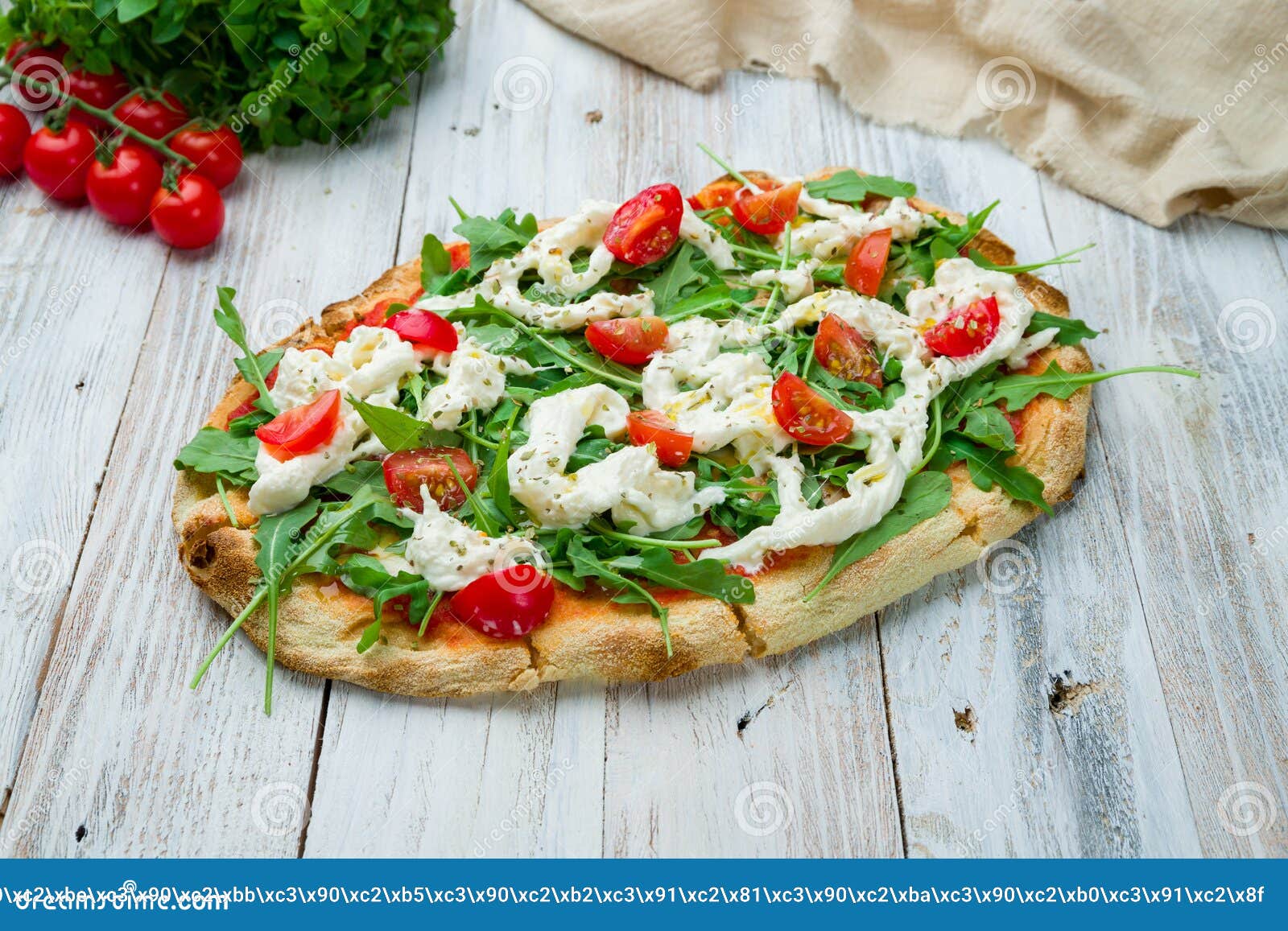 Rome Pizza With White Chicken Meat Or Turkey And Cheese, Concrete ...