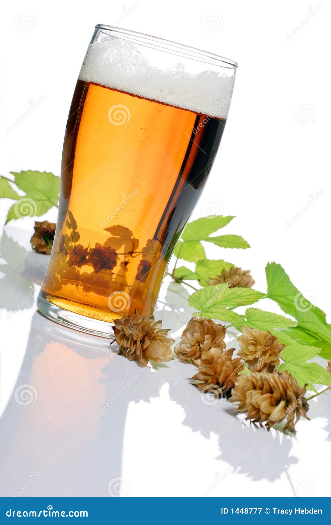 Pint stock image. Image of brew, entertainment, lager - 1448777