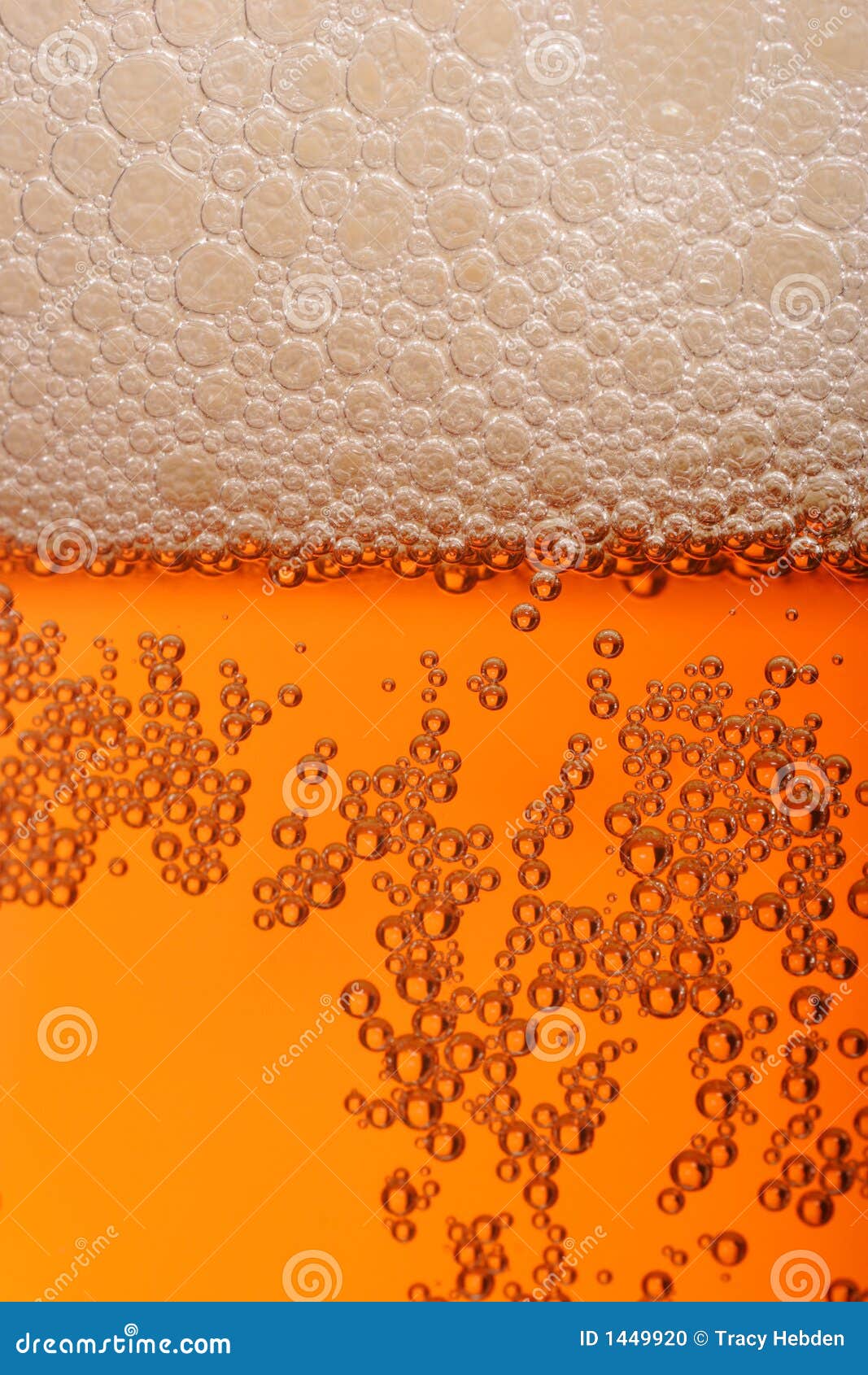 Pint stock photo. Image of bubble, head, pint, birthday - 1449920