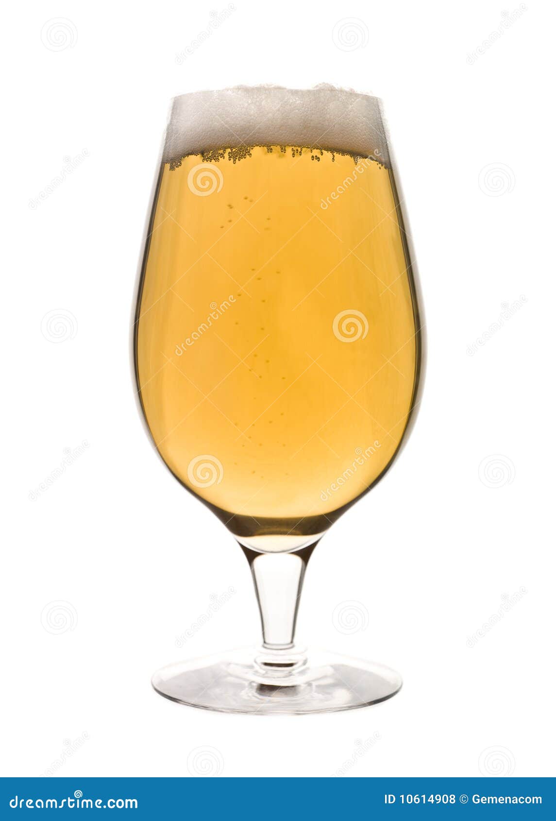 Pint of beer stock photo. Image of pint, lager, cold - 10614908