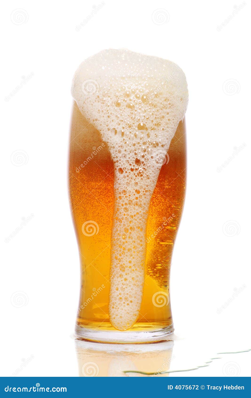 Pint of Beer stock photo. Image of fresh, liquid, alcoholic - 4075672