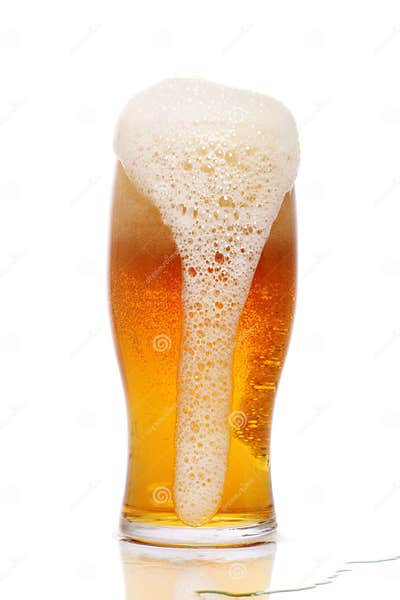 Pint of Beer stock photo. Image of fresh, liquid, alcoholic - 4075672