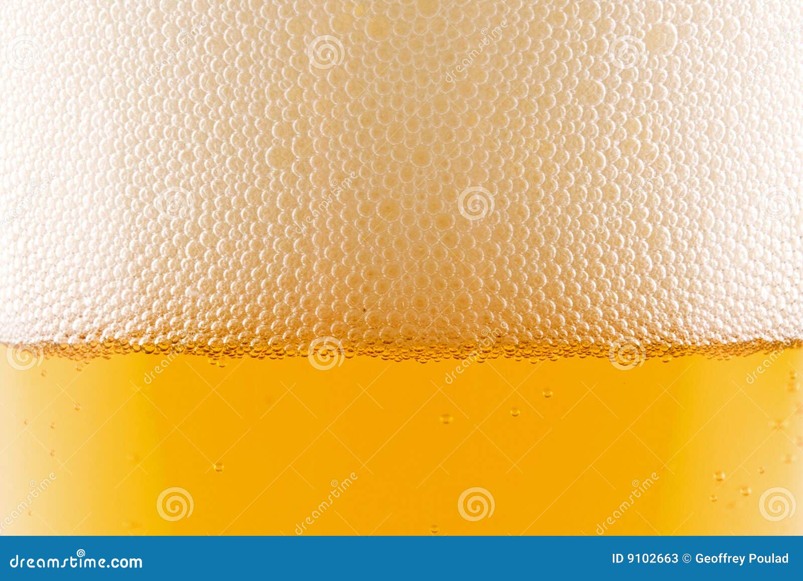 Pint of beer closeup stock image. Image of lager, drop - 9102663