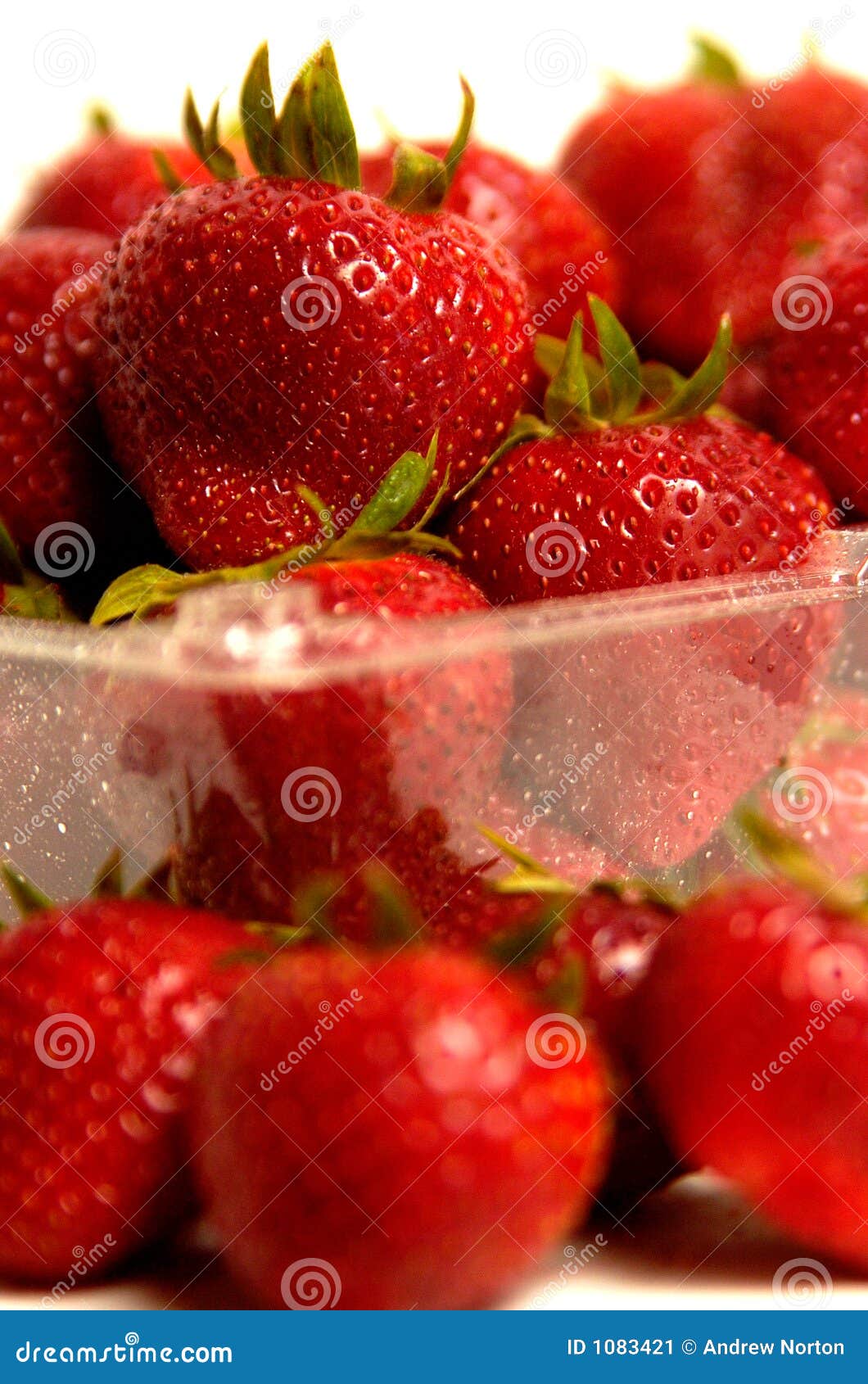 Pinta das morangos imagem de stock. Imagem de maduro, morango - 1083421