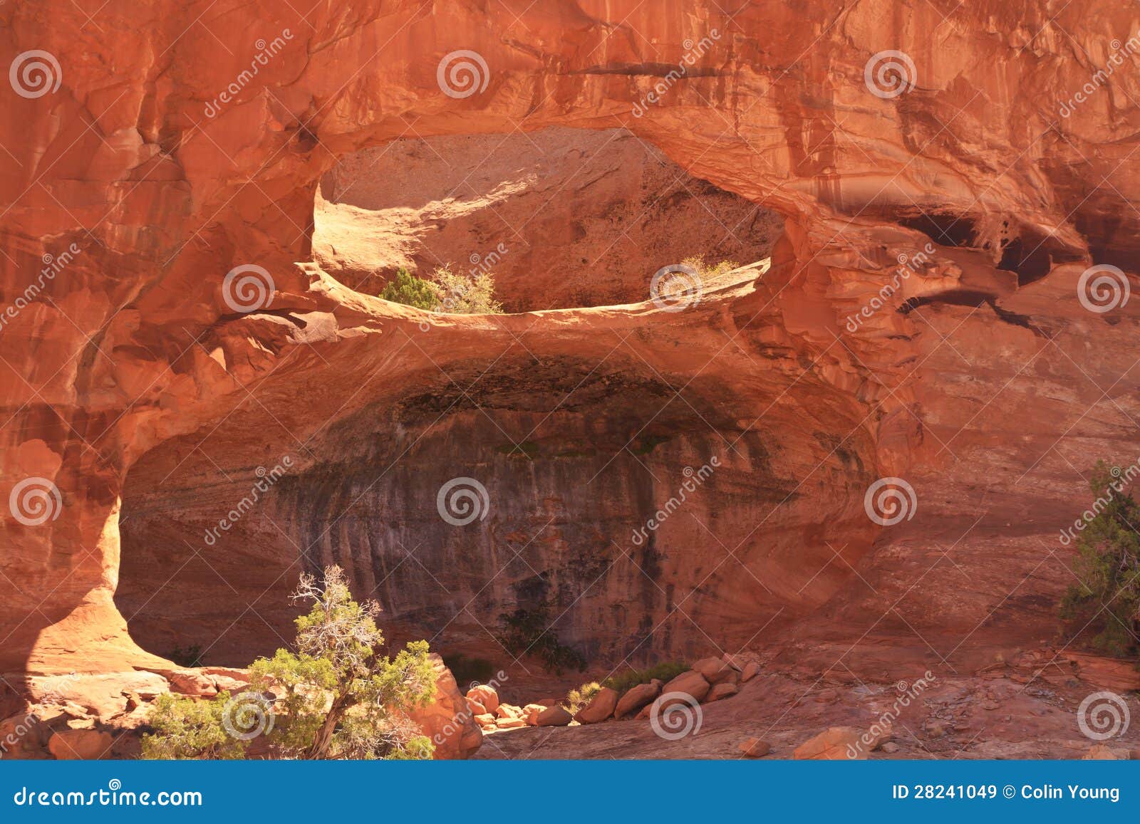 Pinto Arch stock image. Image of united, utah, tree, landscape - 28241049